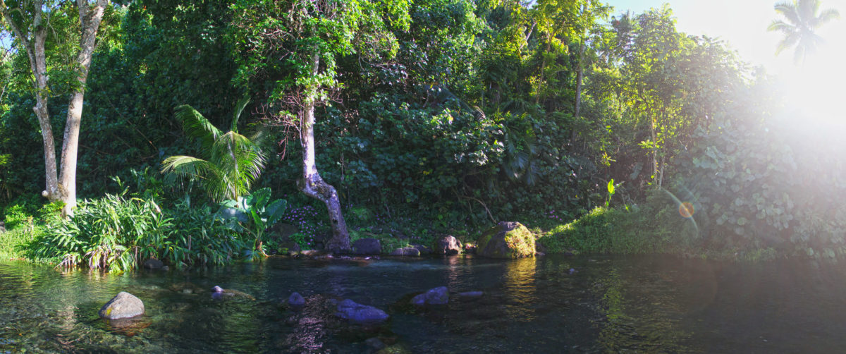 Vaimā à Mataiea - Les Rivières de Tahiti
