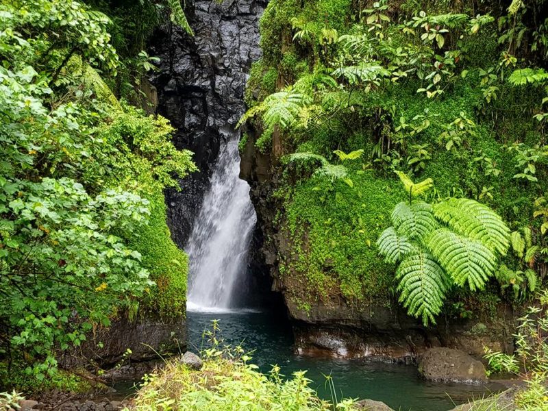 La Māhateaho à Hitiaa - Les Rivières de Tahiti